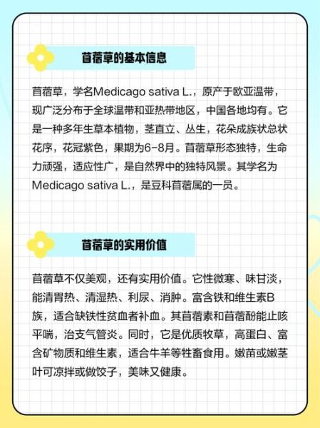 苜蓿草怎么种_苜蓿草种植方法步骤-第2张图片-山城妙识 苜蓿草怎么种_苜蓿草种植方法步骤-第2张图片-山城妙识