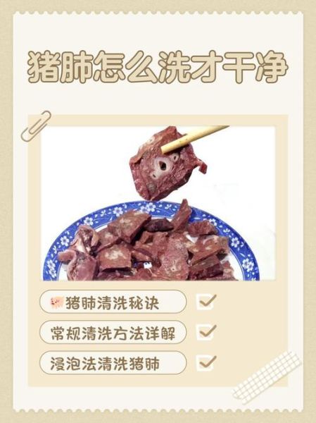 猪肺怎么洗_猪肺清洗去腥方法-第1张图片-山城妙识 猪肺怎么洗_猪肺清洗去腥方法-第1张图片-山城妙识