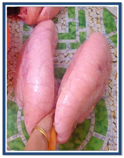 猪肺怎么洗_猪肺清洗去腥方法-第3张图片-山城妙识 猪肺怎么洗_猪肺清洗去腥方法-第3张图片-山城妙识