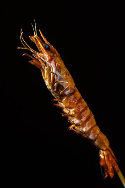 盐烤大虾怎么做_盐烤大虾用哪种虾-第2张图片-山城妙识 盐烤大虾怎么做_盐烤大虾用哪种虾-第2张图片-山城妙识