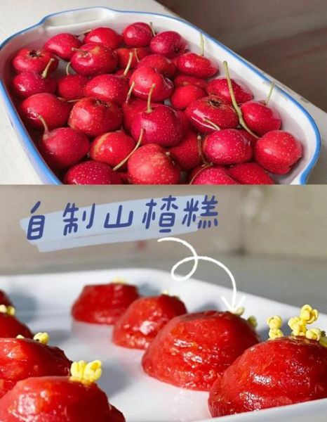 山楂糕怎么做不酸又软糯_山楂糕视频窍门-第2张图片-山城妙识 山楂糕怎么做不酸又软糯_山楂糕视频窍门-第2张图片-山城妙识