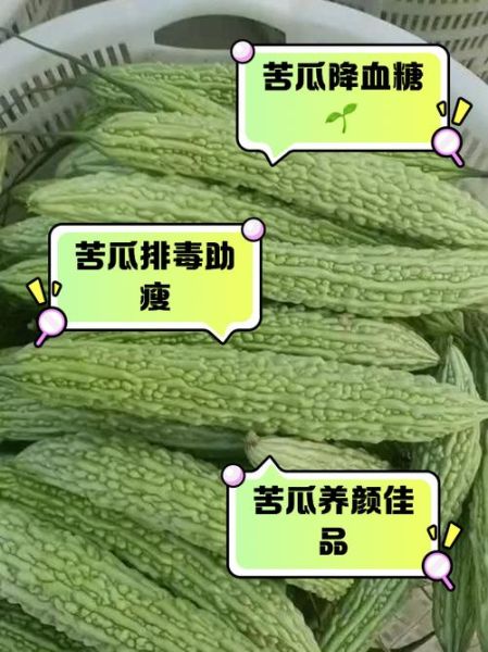 凉拌苦瓜的功效与作用_苦瓜凉拌吃能减肥吗-第3张图片-山城妙识 凉拌苦瓜的功效与作用_苦瓜凉拌吃能减肥吗-第3张图片-山城妙识