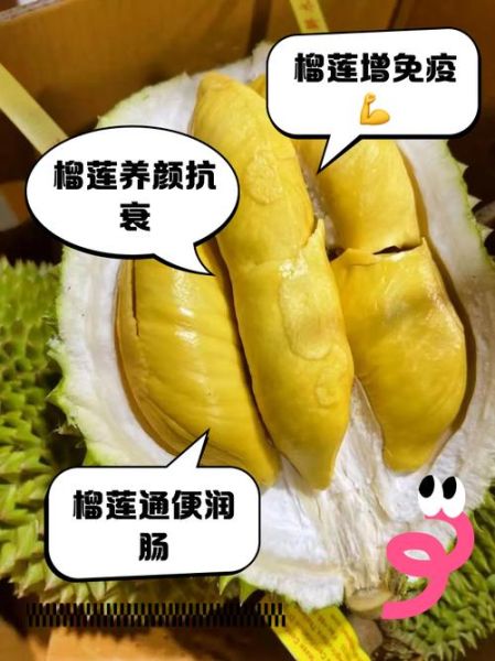 榴莲的功效与作用禁忌_榴莲长肉吗-第1张图片-山城妙识 榴莲的功效与作用禁忌_榴莲长肉吗-第1张图片-山城妙识