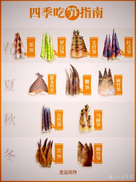 笋的种类图片_如何区分春笋冬笋-第1张图片-山城妙识 笋的种类图片_如何区分春笋冬笋-第1张图片-山城妙识