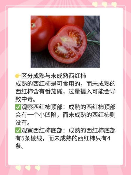 没熟的西红柿能吃吗_生吃青西红柿会中毒吗-第1张图片-山城妙识 没熟的西红柿能吃吗_生吃青西红柿会中毒吗-第1张图片-山城妙识
