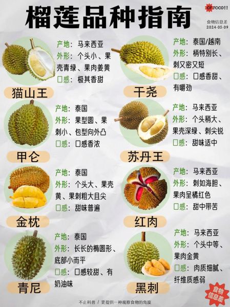 榴莲适合什么人吃_孕妇能吃榴莲吗-第2张图片-山城妙识 榴莲适合什么人吃_孕妇能吃榴莲吗-第2张图片-山城妙识