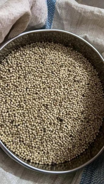 白胡椒的功效与作用_白胡椒怎么吃最好-第2张图片-山城妙识 白胡椒的功效与作用_白胡椒怎么吃最好-第2张图片-山城妙识