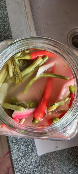 四川泡菜水怎么做_自制泡菜水配方-第2张图片-山城妙识 四川泡菜水怎么做_自制泡菜水配方-第2张图片-山城妙识