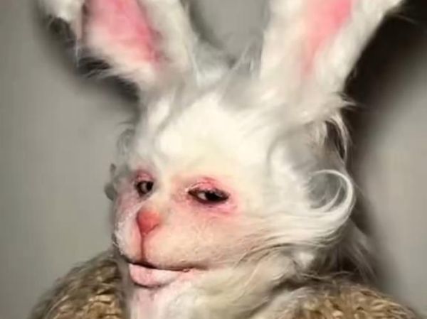 复活节兔子为什么恐怖_恐怖传说起源-第2张图片-山城妙识