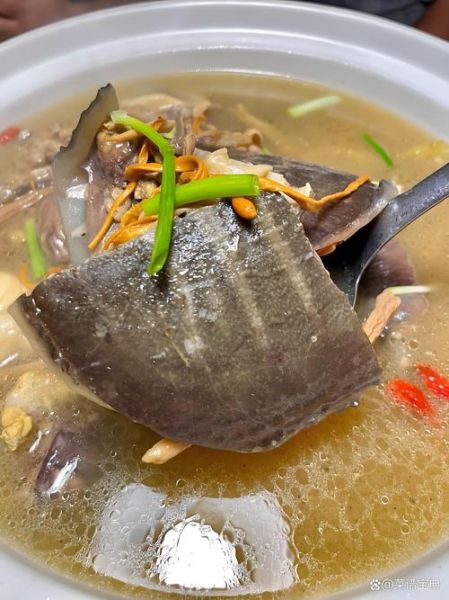 甲鱼汤哪些人不能喝_孕妇能吃甲鱼汤吗-第1张图片-山城妙识