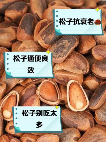 儿童吃松子有什么好处_松子对儿童大脑发育的作用-第3张图片-山城妙识 儿童吃松子有什么好处_松子对儿童大脑发育的作用-第3张图片-山城妙识