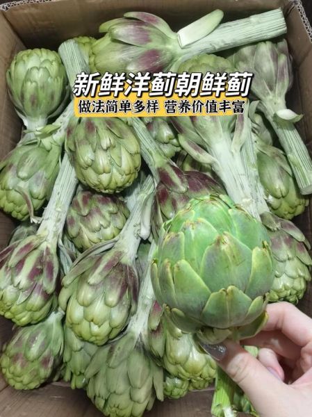 洋蓟花怎么吃_洋蓟花有什么功效-第3张图片-山城妙识 洋蓟花怎么吃_洋蓟花有什么功效-第3张图片-山城妙识