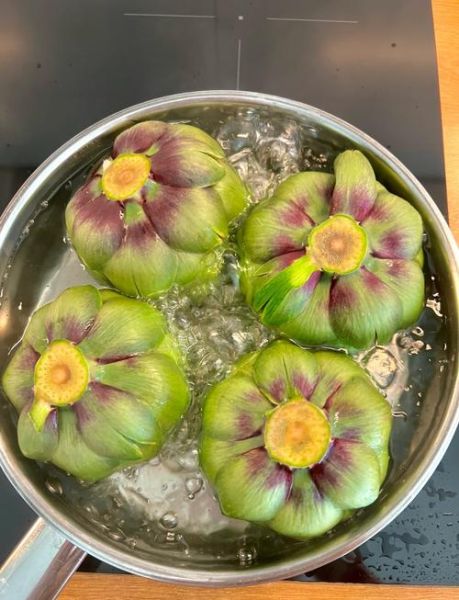 洋蓟花怎么吃_洋蓟花有什么功效-第1张图片-山城妙识 洋蓟花怎么吃_洋蓟花有什么功效-第1张图片-山城妙识