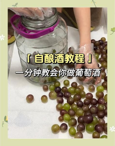 葡萄酒怎么在家酿_自酿葡萄酒步骤详解-第1张图片-山城妙识
