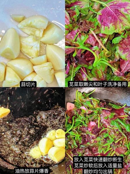 补血菜怎么做_补血菜有哪些家常做法-第2张图片-山城妙识