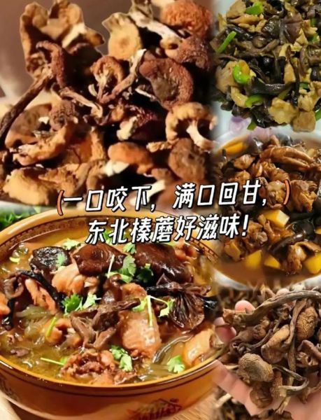 榛蘑菇图片怎么辨别真假_榛蘑菇图片高清细节有哪些-第3张图片-山城妙识 榛蘑菇图片怎么辨别真假_榛蘑菇图片高清细节有哪些-第3张图片-山城妙识