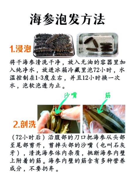 干海参如何泡发_海参泡发多久最好-第1张图片-山城妙识 干海参如何泡发_海参泡发多久最好-第1张图片-山城妙识