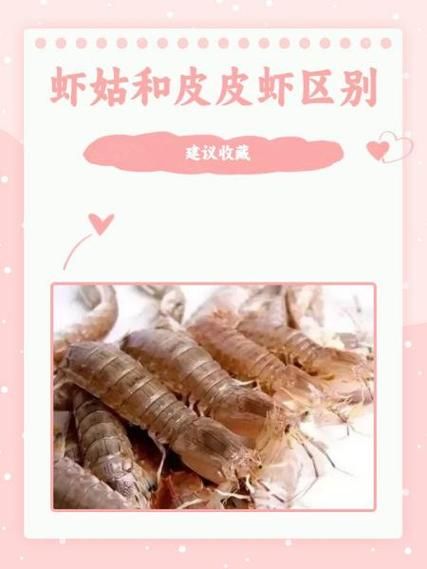 虾姑的营养价值_虾姑的功效与作用-第1张图片-山城妙识 虾姑的营养价值_虾姑的功效与作用-第1张图片-山城妙识