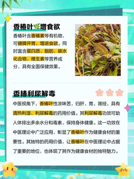 干香椿叶泡水喝的功效_干香椿叶泡水怎么喝-第1张图片-山城妙识