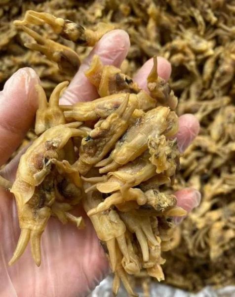 蛏子干怎么泡发_蛏子干的家常做法-第1张图片-山城妙识 蛏子干怎么泡发_蛏子干的家常做法-第1张图片-山城妙识