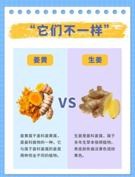 小黄姜和普通生姜的区别_哪个更好-第1张图片-山城妙识 小黄姜和普通生姜的区别_哪个更好-第1张图片-山城妙识