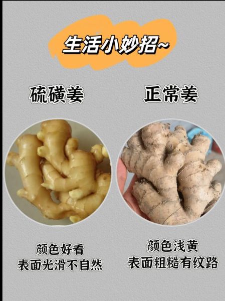 小黄姜和普通生姜的区别_哪个更好-第2张图片-山城妙识 小黄姜和普通生姜的区别_哪个更好-第2张图片-山城妙识