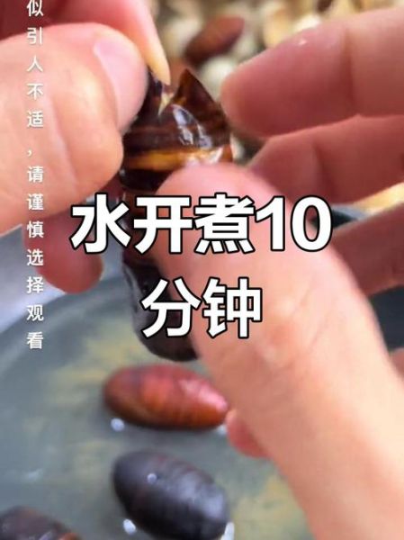 水煮蚕蛹的做法时间_水煮蚕蛹要煮多久才熟-第1张图片-山城妙识 水煮蚕蛹的做法时间_水煮蚕蛹要煮多久才熟-第1张图片-山城妙识