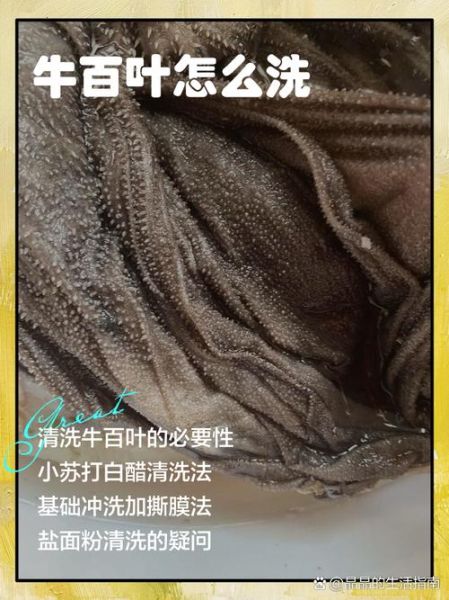 牛百叶怎么处理_牛百叶怎么洗才干净-第1张图片-山城妙识