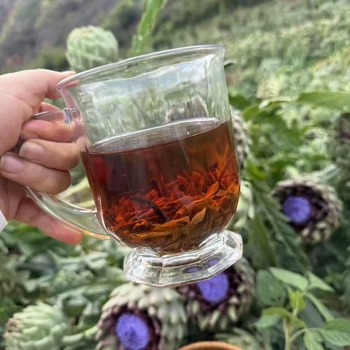 洋蓟茶的功效与作用_洋蓟茶怎么喝才有效-第3张图片-山城妙识 洋蓟茶的功效与作用_洋蓟茶怎么喝才有效-第3张图片-山城妙识