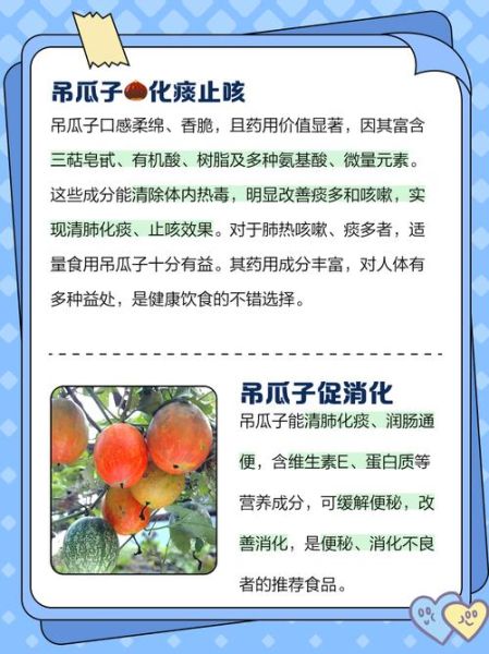 吊方瓜的功效与作用_吊方瓜怎么吃效果最好-第2张图片-山城妙识 吊方瓜的功效与作用_吊方瓜怎么吃效果最好-第2张图片-山城妙识