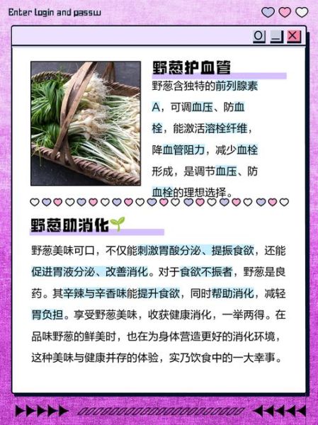 野葱能吃吗_野葱怎么吃安全-第2张图片-山城妙识