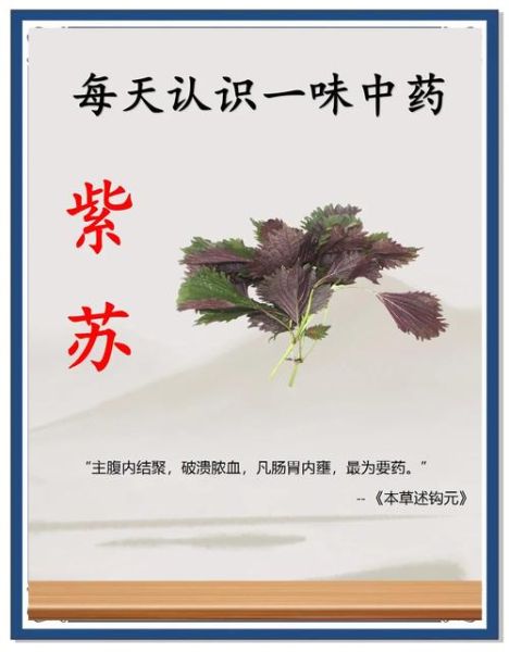 紫苏的功效与作用及副作用_紫苏叶泡水喝的禁忌-第1张图片-山城妙识 紫苏的功效与作用及副作用_紫苏叶泡水喝的禁忌-第1张图片-山城妙识