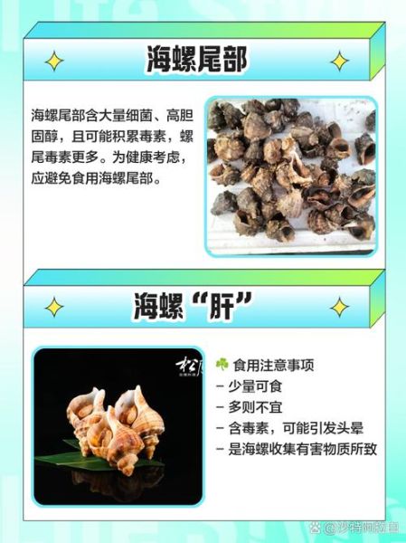 海螺哪些部位不能吃_海螺内脏怎么分辨-第2张图片-山城妙识 海螺哪些部位不能吃_海螺内脏怎么分辨-第2张图片-山城妙识