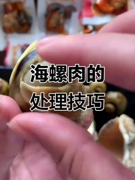 海螺哪些部位不能吃_海螺内脏怎么分辨-第3张图片-山城妙识 海螺哪些部位不能吃_海螺内脏怎么分辨-第3张图片-山城妙识