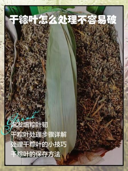 干粽叶先煮还是先泡_粽叶处理顺序-第2张图片-山城妙识 干粽叶先煮还是先泡_粽叶处理顺序-第2张图片-山城妙识