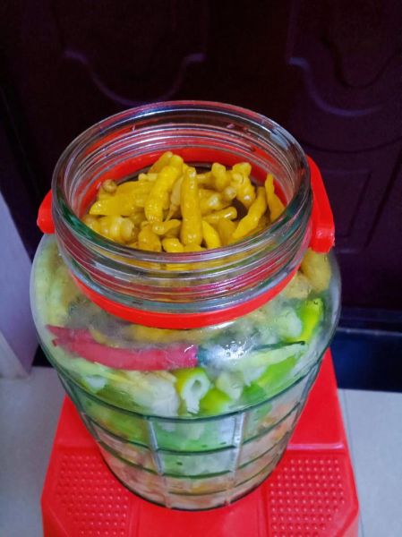 泡椒怎么保存一年不坏_泡椒长期保存的正确做法-第3张图片-山城妙识 泡椒怎么保存一年不坏_泡椒长期保存的正确做法-第3张图片-山城妙识