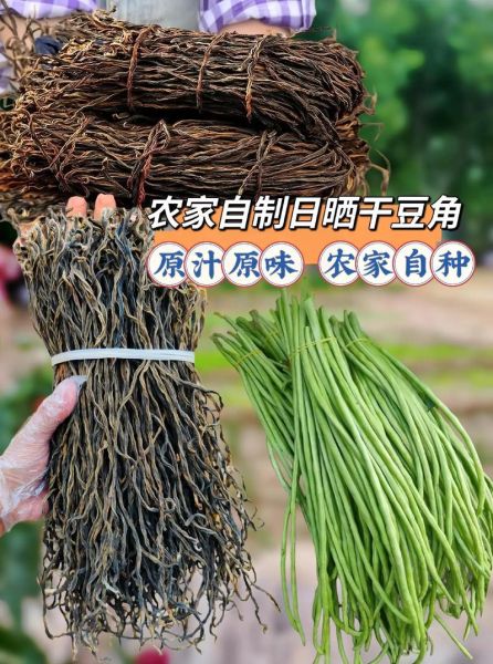 晒干豆角怎么晒_豆角晒干后怎么保存-第3张图片-山城妙识 晒干豆角怎么晒_豆角晒干后怎么保存-第3张图片-山城妙识
