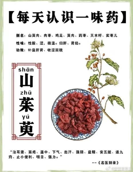 山萸肉的功效与作用_山萸肉怎么吃最好-第2张图片-山城妙识 山萸肉的功效与作用_山萸肉怎么吃最好-第2张图片-山城妙识