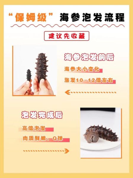 家庭如何泡发干海参_干海参泡发几天最好-第2张图片-山城妙识 家庭如何泡发干海参_干海参泡发几天最好-第2张图片-山城妙识