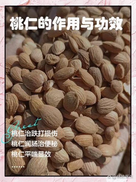 桃仁的功效与作用禁忌_桃仁一天吃多少克合适-第3张图片-山城妙识