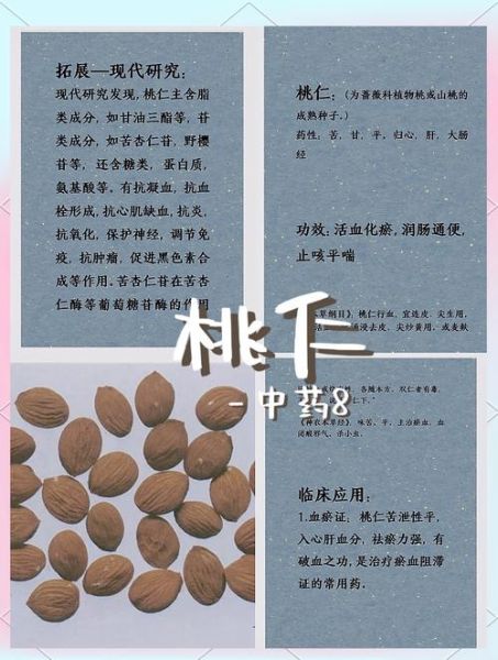 桃仁的功效与作用禁忌_桃仁一天吃多少克合适-第1张图片-山城妙识