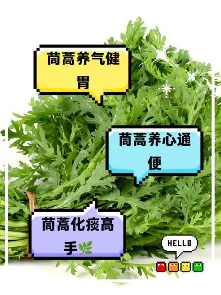 皇帝菜的功效与作用_皇帝菜怎么吃最营养-第2张图片-山城妙识 皇帝菜的功效与作用_皇帝菜怎么吃最营养-第2张图片-山城妙识