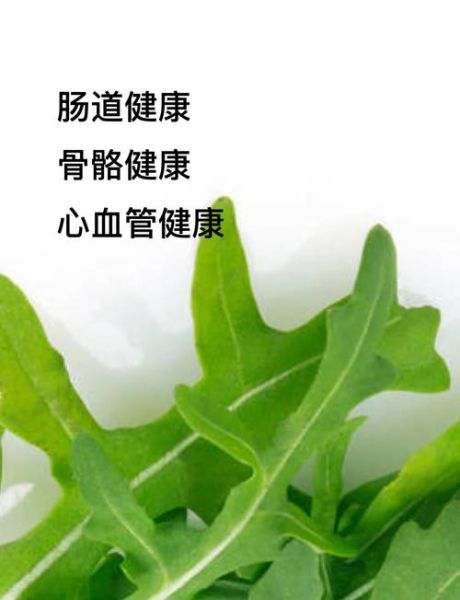 芝麻菜长什么样_芝麻菜和臭菜区别-第2张图片-山城妙识