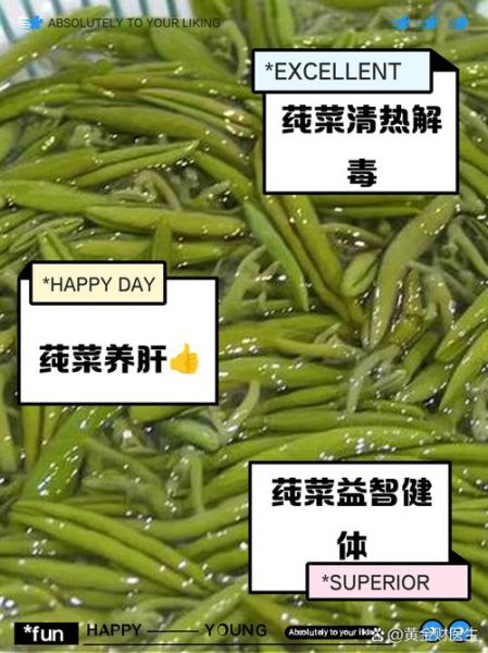 莼菜的功效与作用_莼菜怎么吃最养生-第1张图片-山城妙识 莼菜的功效与作用_莼菜怎么吃最养生-第1张图片-山城妙识