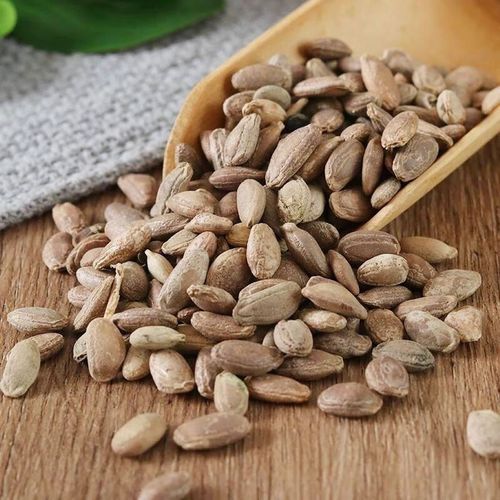 瓜蒌仁和瓜蒌子有什么区别_哪个更好-第1张图片-山城妙识 瓜蒌仁和瓜蒌子有什么区别_哪个更好-第1张图片-山城妙识