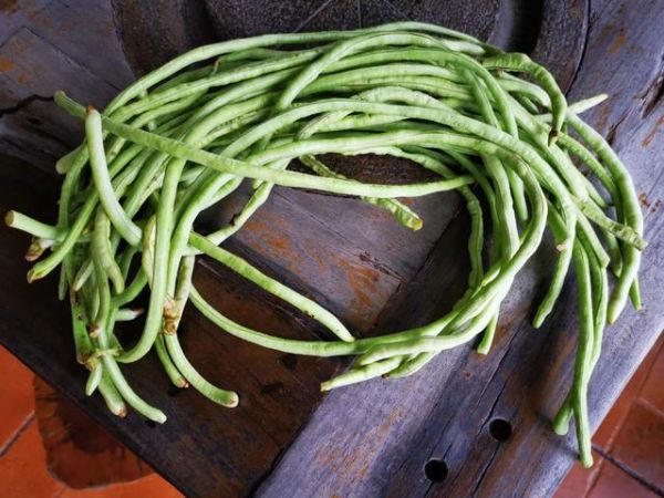 豆角电影怎么下载_豆角电影安全吗-第2张图片-山城妙识 豆角电影怎么下载_豆角电影安全吗-第2张图片-山城妙识