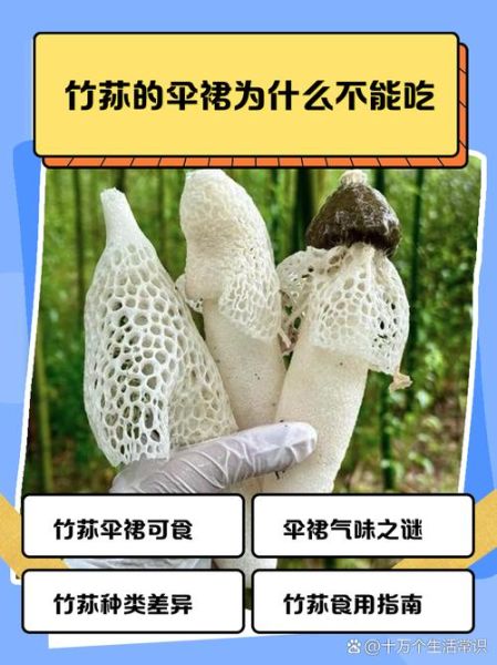 竹荪的伞裙能吃吗_竹荪伞裙怎么清洗-第1张图片-山城妙识 竹荪的伞裙能吃吗_竹荪伞裙怎么清洗-第1张图片-山城妙识
