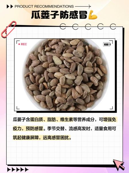 瓜蒌仁和瓜蒌子有什么区别_哪个更好-第3张图片-山城妙识 瓜蒌仁和瓜蒌子有什么区别_哪个更好-第3张图片-山城妙识