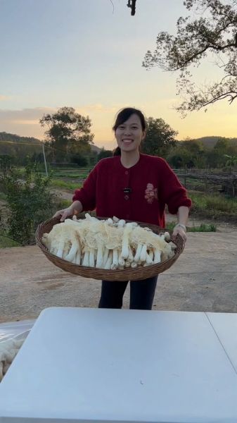 竹荪的伞裙能吃吗_竹荪伞裙怎么清洗-第3张图片-山城妙识 竹荪的伞裙能吃吗_竹荪伞裙怎么清洗-第3张图片-山城妙识