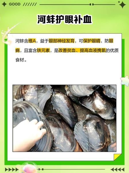 大河蚌怎么清洗_大河蚌做法大全窍门-第3张图片-山城妙识 大河蚌怎么清洗_大河蚌做法大全窍门-第3张图片-山城妙识